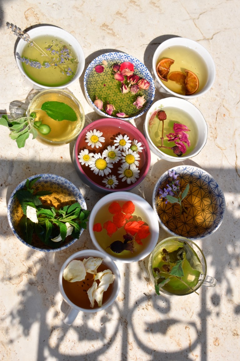 Zoom sur 7 infusions aux plantes et leurs bienfaits