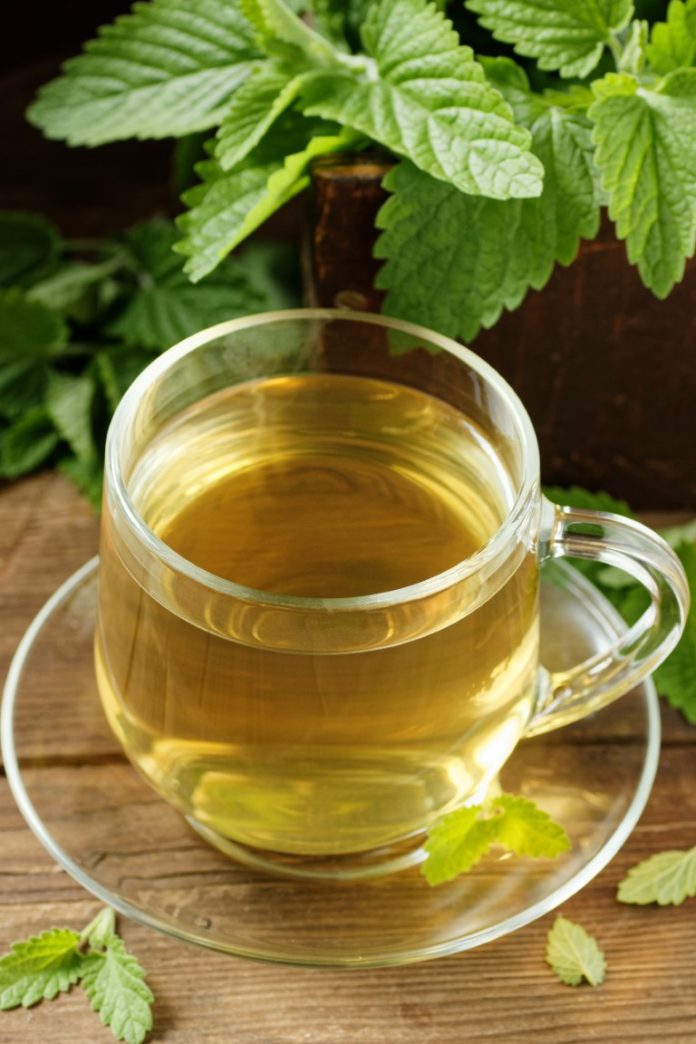 Zoom sur 7 infusions aux plantes et leurs bienfaits